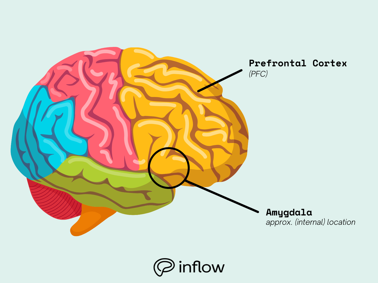 ADHD And Intense Emotions How To Manage Emotional Dysregulation